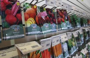 Home [www.northfieldsnursery.co.uk]